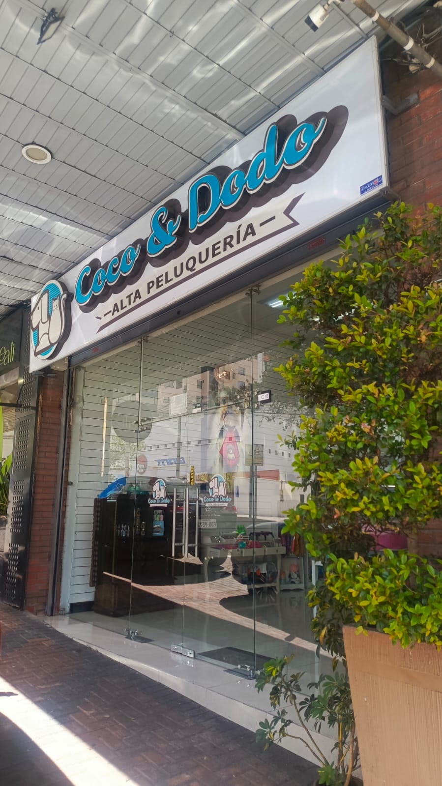 COCO Y DODO - Centro Comercial El Bosque
